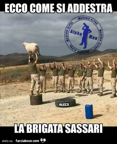 Tutti i meme sulla Sardegna - Facciabuco.com