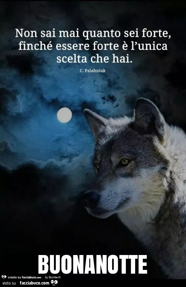 Tutti i meme sui Lupi - Facciabuco.com