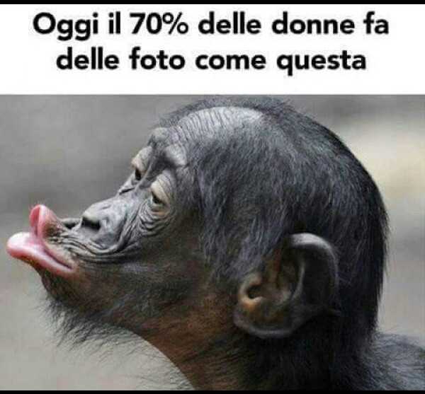 Tutti i meme sulle Scimmie - Facciabuco.com