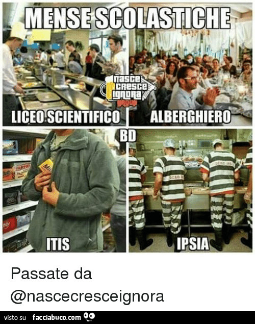 Meme Divertenti Del Liceo