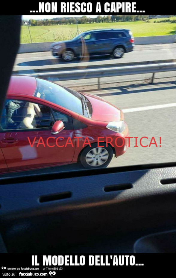 Tutti i meme sulla Gente strana - Facciabuco.com