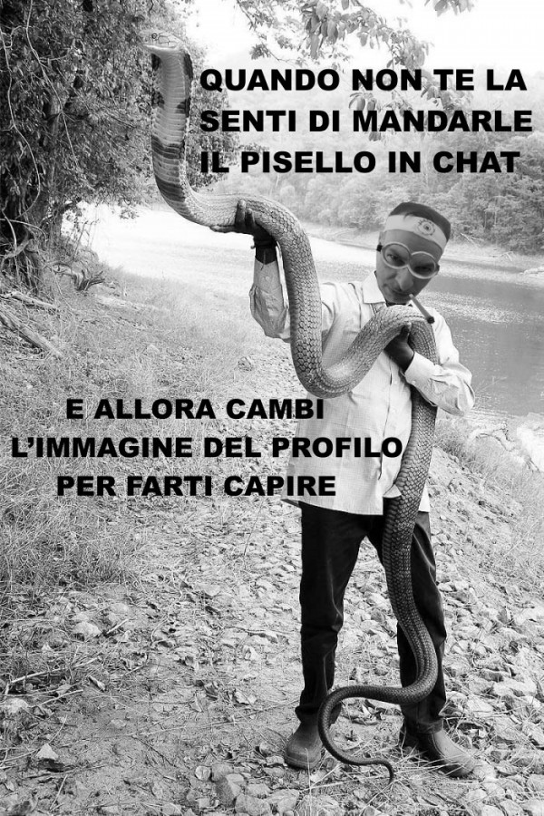 Si Capisce? ?????… vaccata pubblicata da deedee - Facciabuco.com