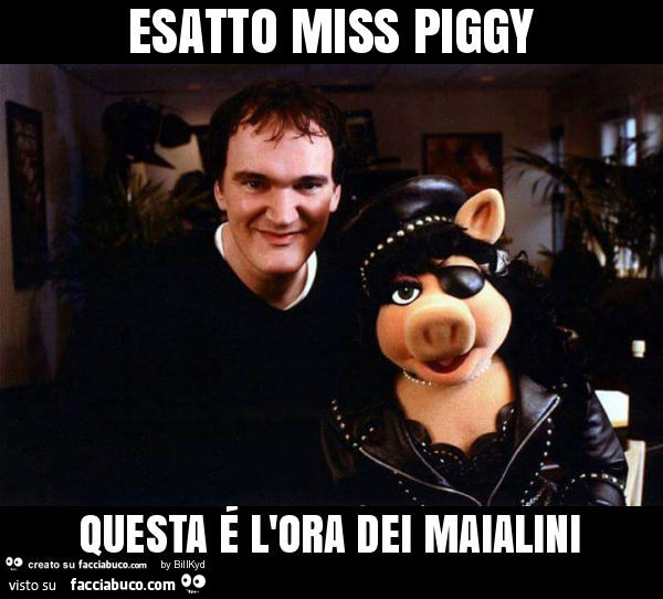 Tutti i meme sui Maiali - Facciabuco.com