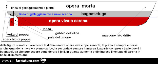 Nave. Opera morta. Bagnasciuga. Opera viva o carena - Facciabuco.com