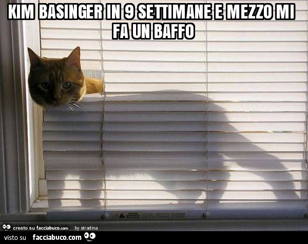 Kim basinger in 9 settimane e mezzo mi fa un baffo - Facciabuco.com