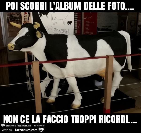 Poi scorri l'album delle foto… non ce la faccio troppi ricordi ...