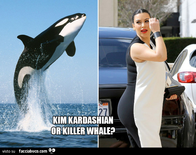 Kim Kardashian o l'orca assassina? - Facciabuco.com