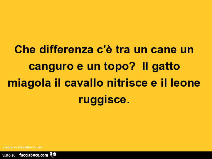 Che differenza c'è tra un cane un canguro e un topo? Il gatto miagola ...