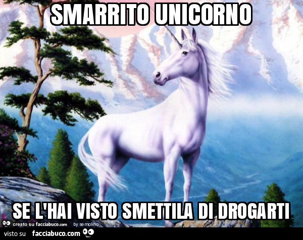 Smarrito unicorno se l'hai visto smettila di drogarti - Facciabuco.com